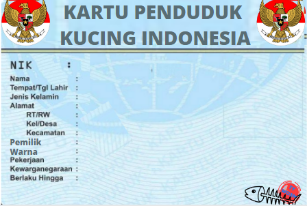 ktp polos bahan pembuatan ktp kucing ytmeow