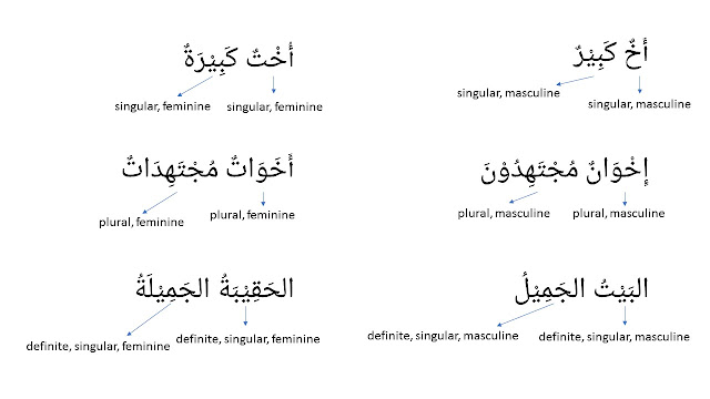 an-na't | The rules of an Adjective in Arabic