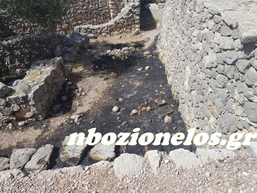 "GrevenaLive 24" - Vatolakkiotis: Πυρκαγιά στις Μυκήνες. Αυτοψία και ...