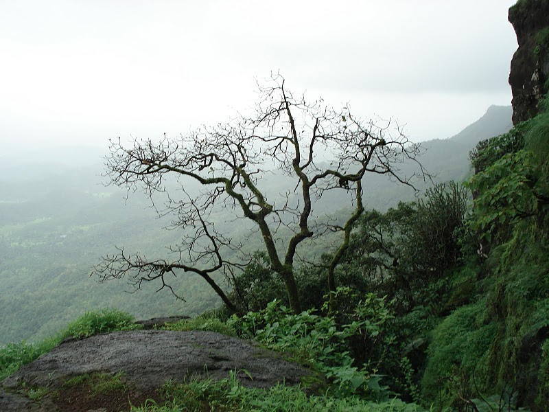 photos of trek trip: Mahuli fort
