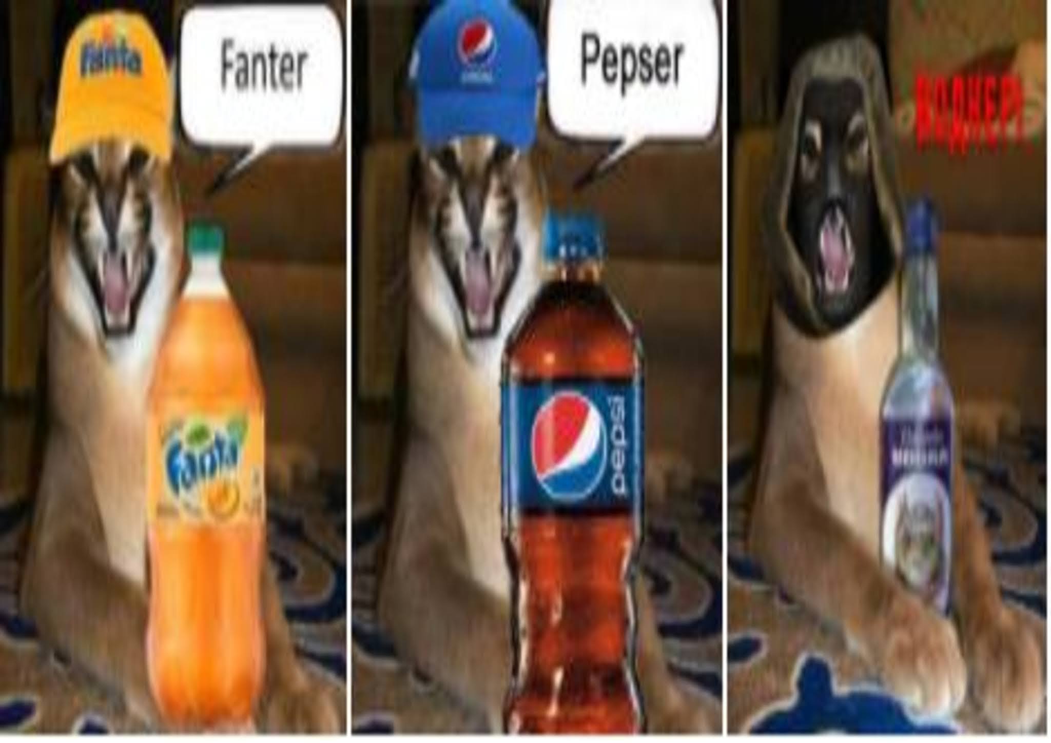 Articulo sobre floppa (caracal caracal)