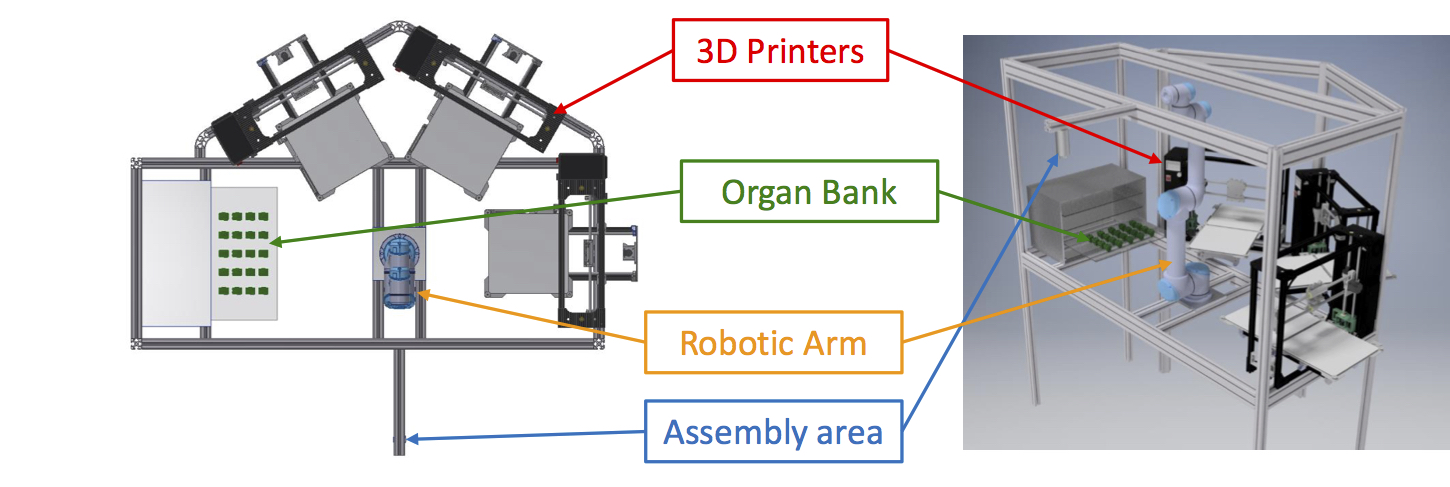 Alan Winfield's Web Log: Autonomous Robot Evolution: an update
