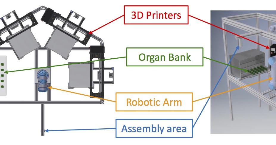 Alan Winfield's Web Log: Autonomous Robot Evolution: an update