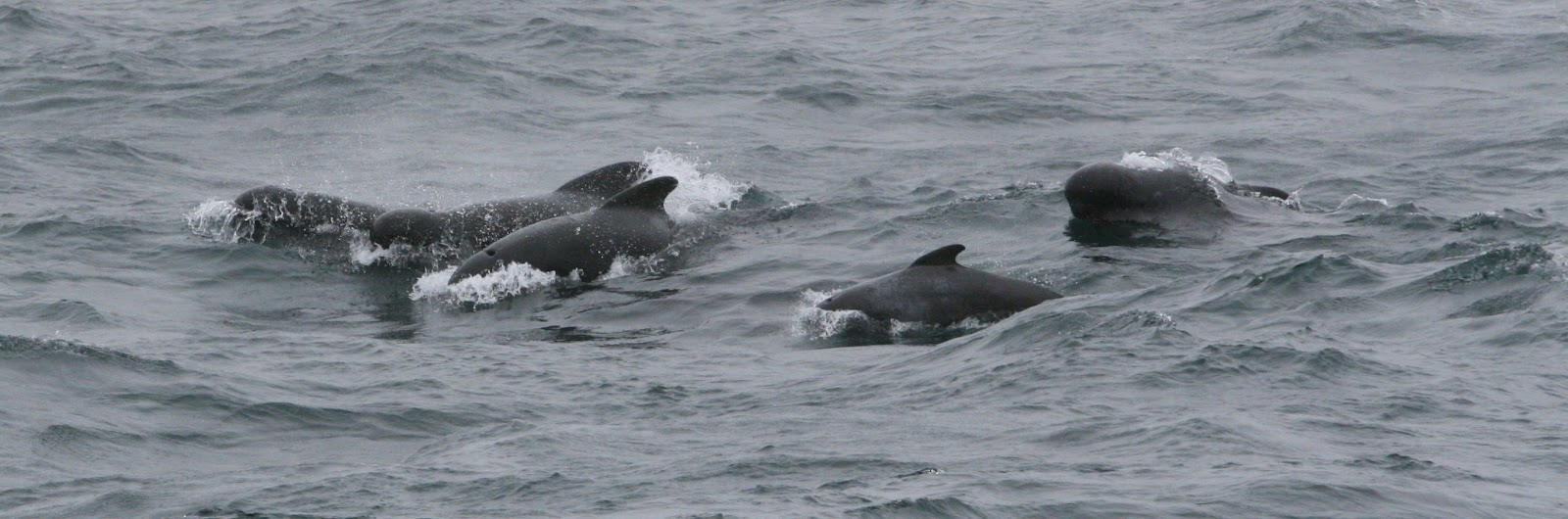 Ellett Line: August 2012