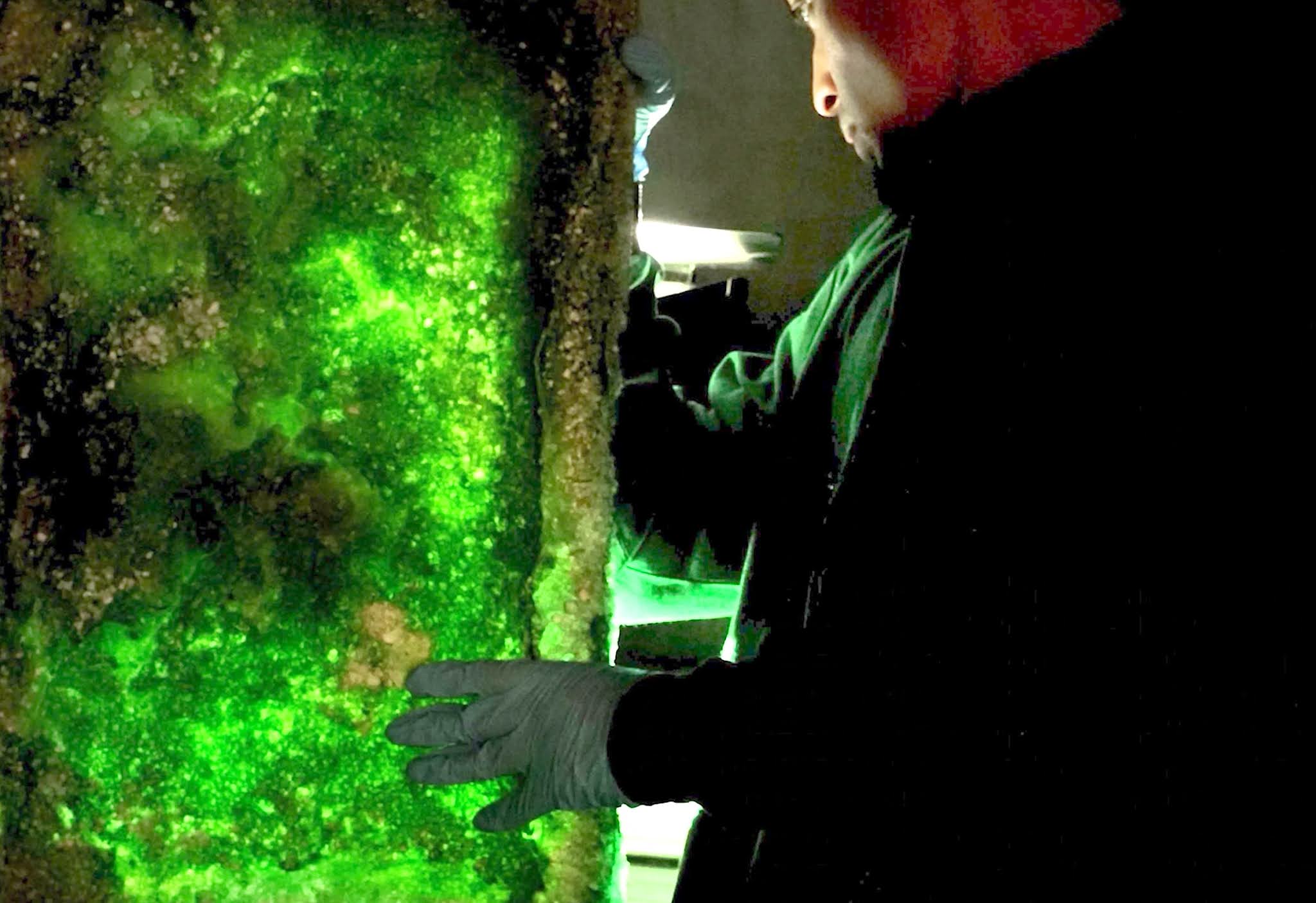 Marcos Cruz Architect