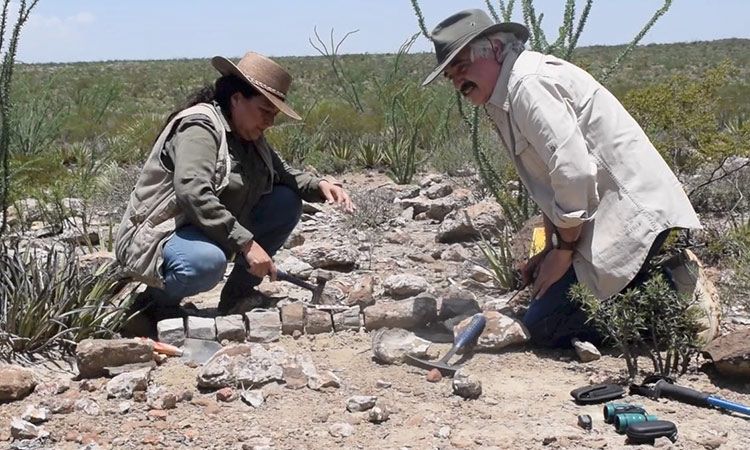 Fundacion Dinosaurios Cyl: Paraxenisaurus normalensis el nuevo ...