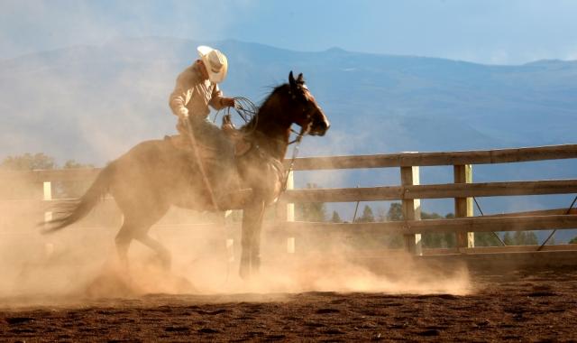 Western Fine Art Photography: Western Fine Art Photography, Horse ...