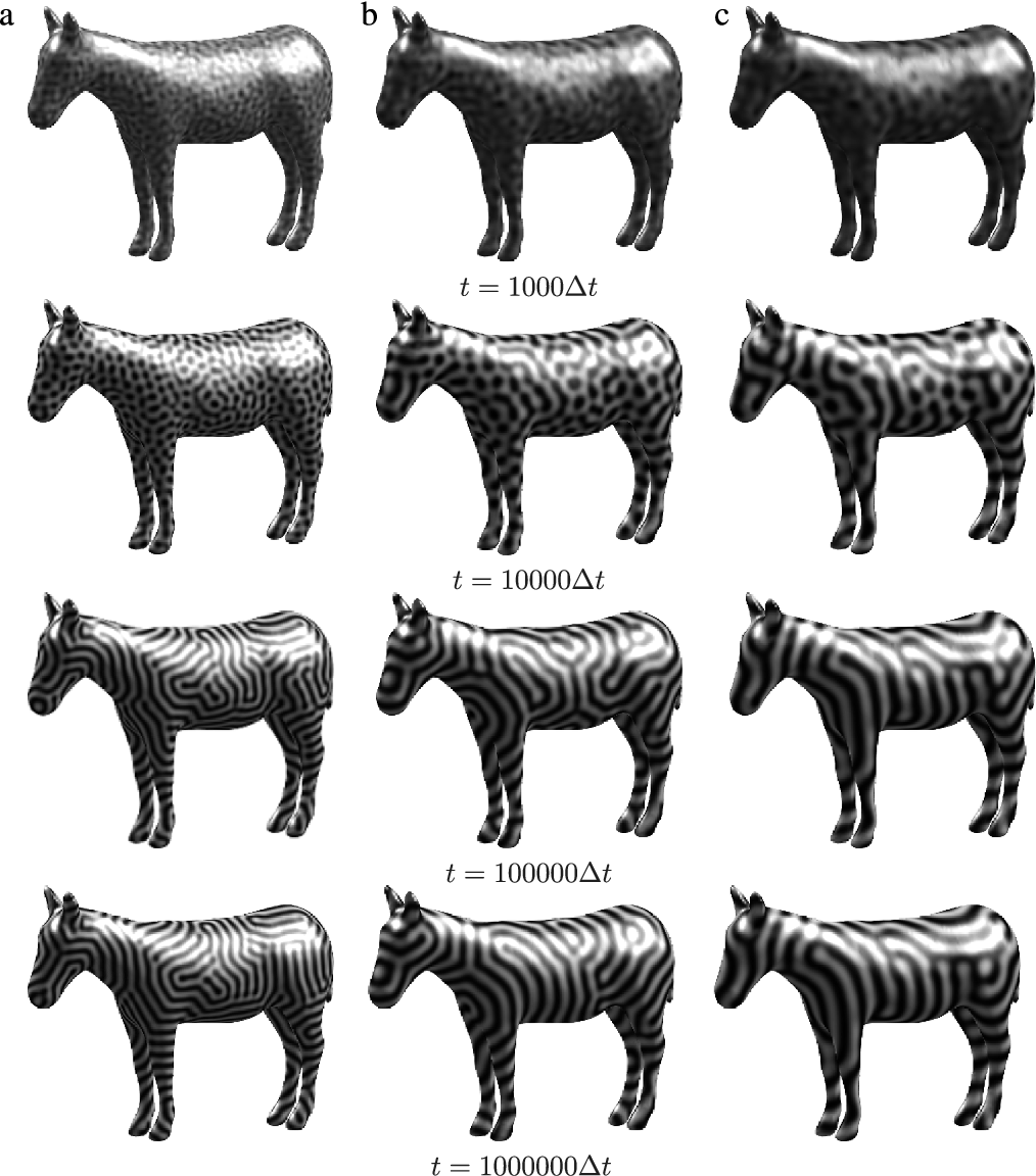 Evolution blog: Rolie Barth over zebra's en Turing modellen