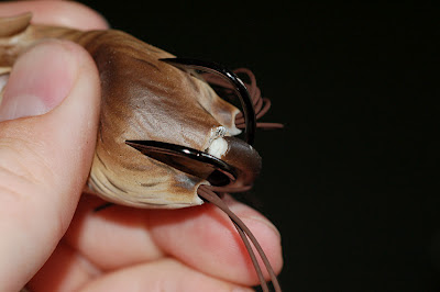 Bass Junkies Frog Pond: Live Target Field Mouse Review