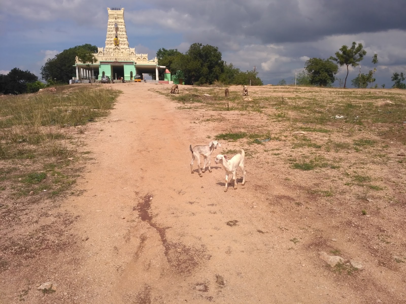 Tamilnadu Tourism: Vennimalai Subramanyaswamy Temple, Pavoorchatram ...