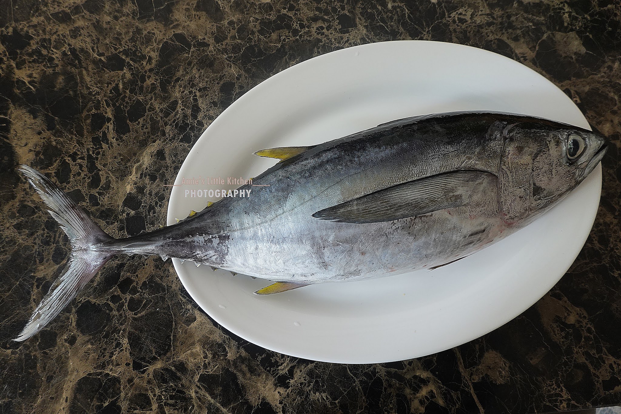 Ikan Tuna Sirip Kuning Nan Seekor - Amie's Little Kitchen