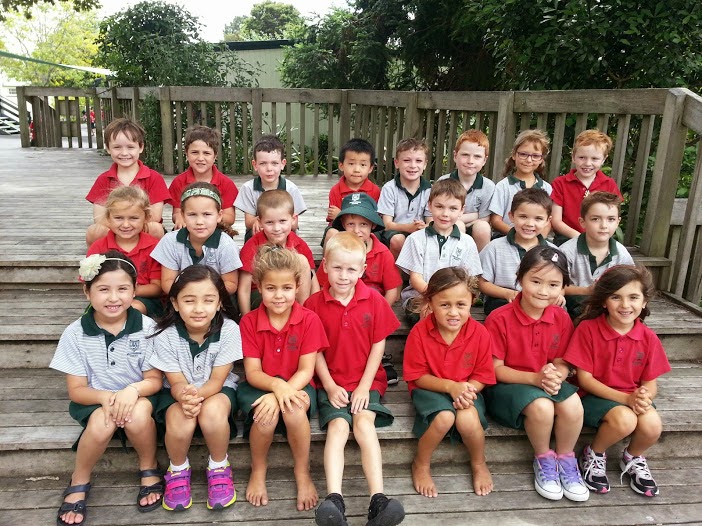 Room 13 Meadowbank School