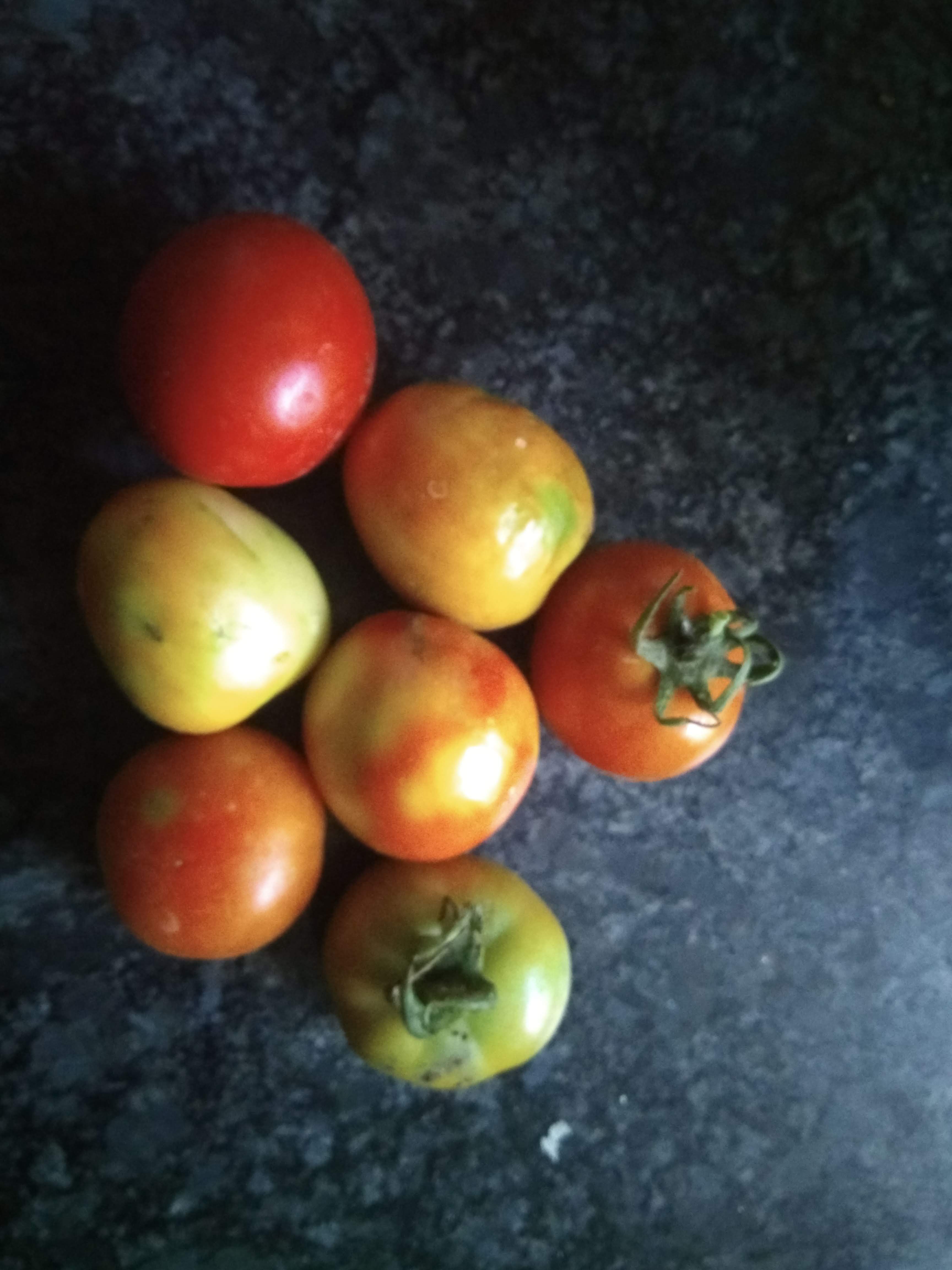 Fruit (and vegetable) bearing plants around me