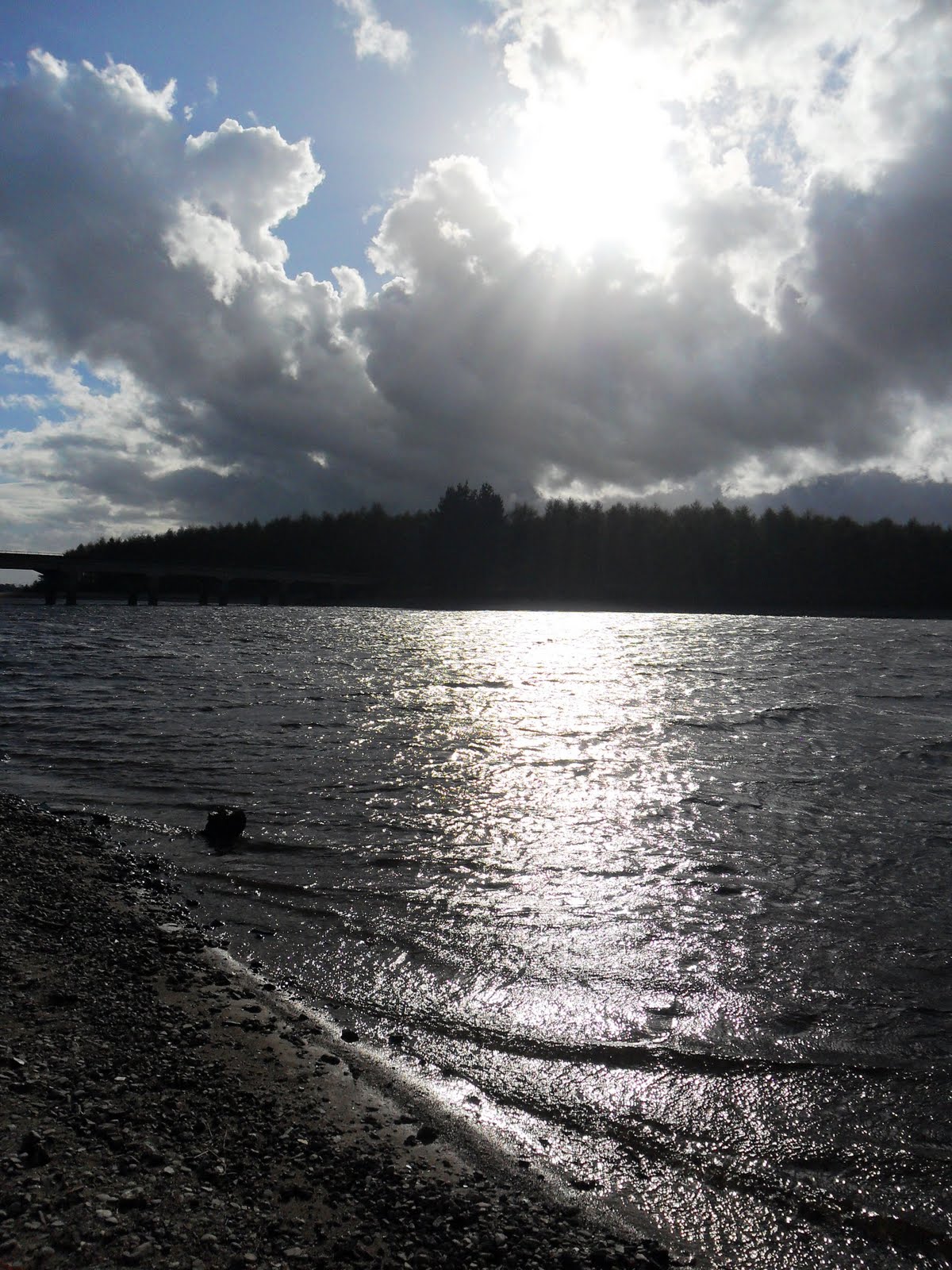 Patrick Comerford: An afternoon around the Blessington Lakes