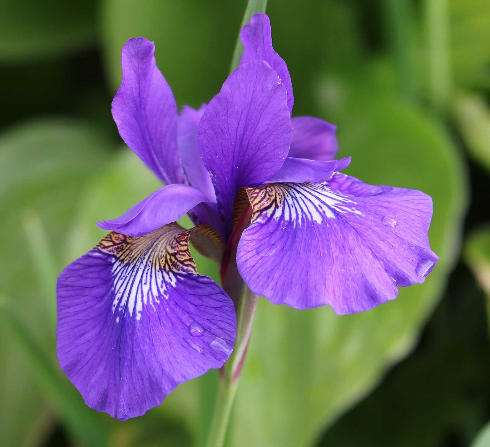 Poppular Photography: 2020