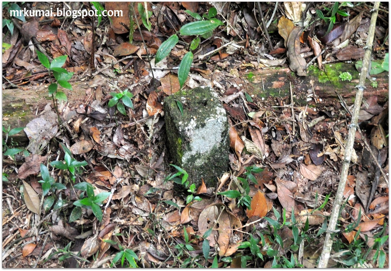 mrkumai.blogspot.com: "Jack Waterfall