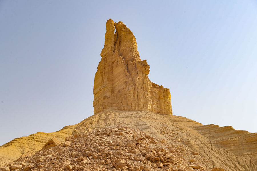 Birds of Saudi Arabia: Fisal’s Finger - Riyadh