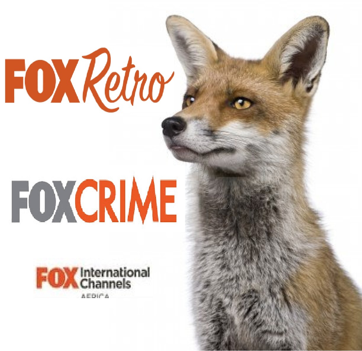 Fox International Channel Logo