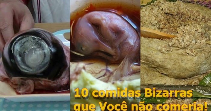 10 Comidas Bizarras que você não comeria - Blog Cantinho Ju Tavares