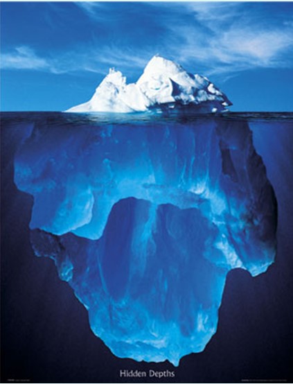 Post #33 Behaviour (1) The Tip of the Iceberg