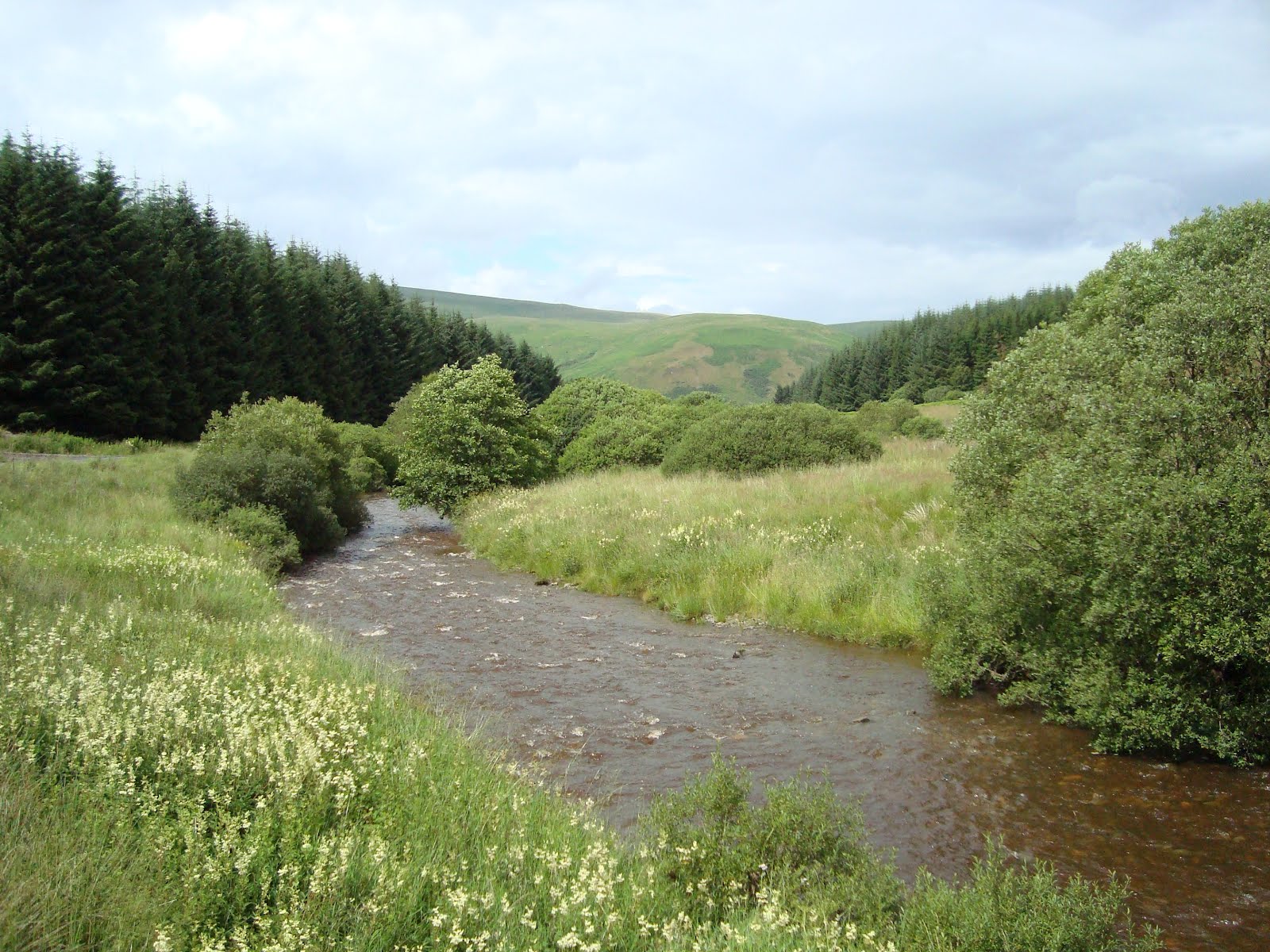 Tour Scottish Borders: The Ettrick Valley