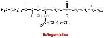 BIOLOGÍA 2Bachillerato OJA: Tema 4. Los lipidos