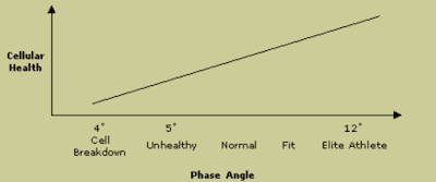 건강하고 풍요로운 나를 찾아서: 인바디(InBody) 위상각(Whole Body Phase Angle)