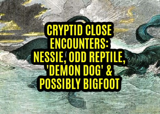 Phantoms and Monsters - Real Cryptid Encounter Reports - Fortean Researcher Lon Strickler