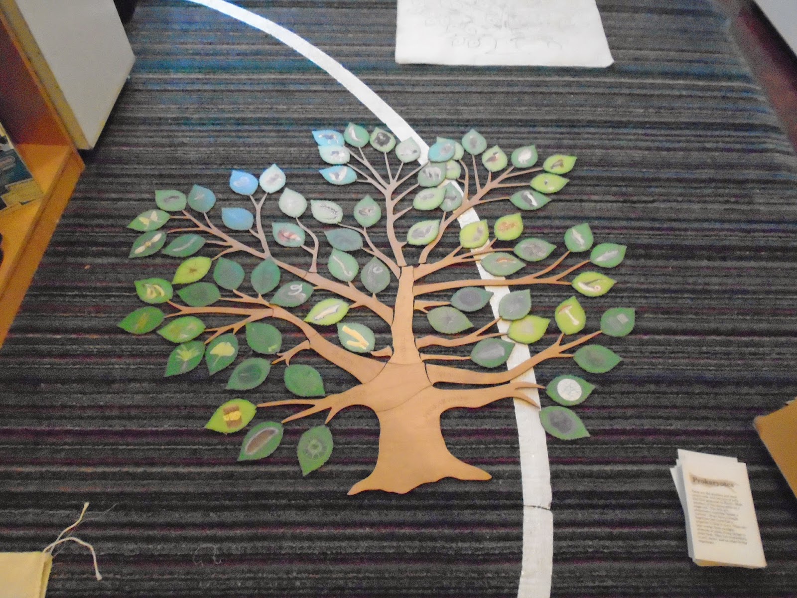 Montessori Messy: Homeschooling, Mixing It Up, and Montessori Enrichment