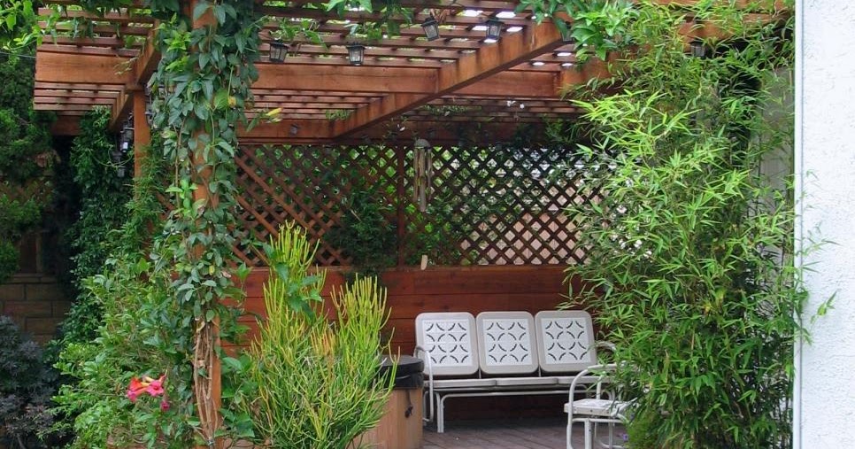 Boring backyard? Check out these ideas!