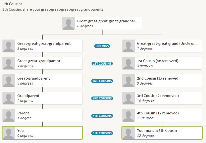 Forever Young - The Life and Times of the Young Family from SC