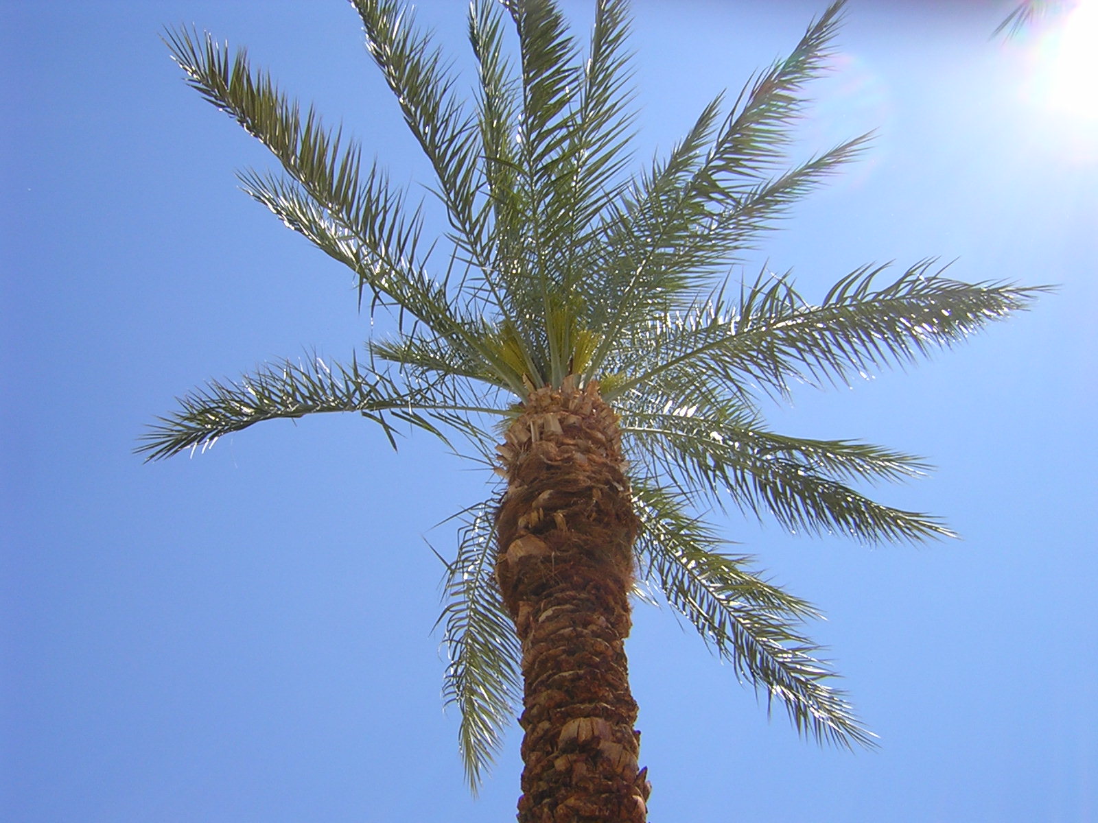 Eilat,el paraiso de medio oriente.: En el parque un sabado,con la ...
