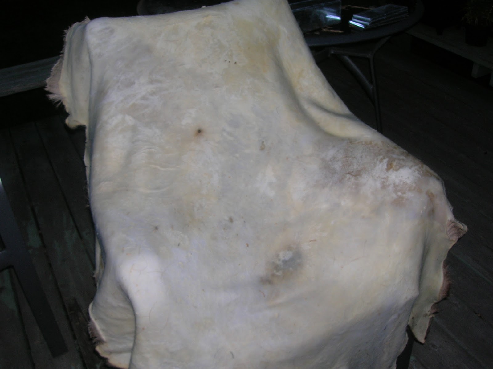 Musings of Musang: Bark tanning hair on deer hide