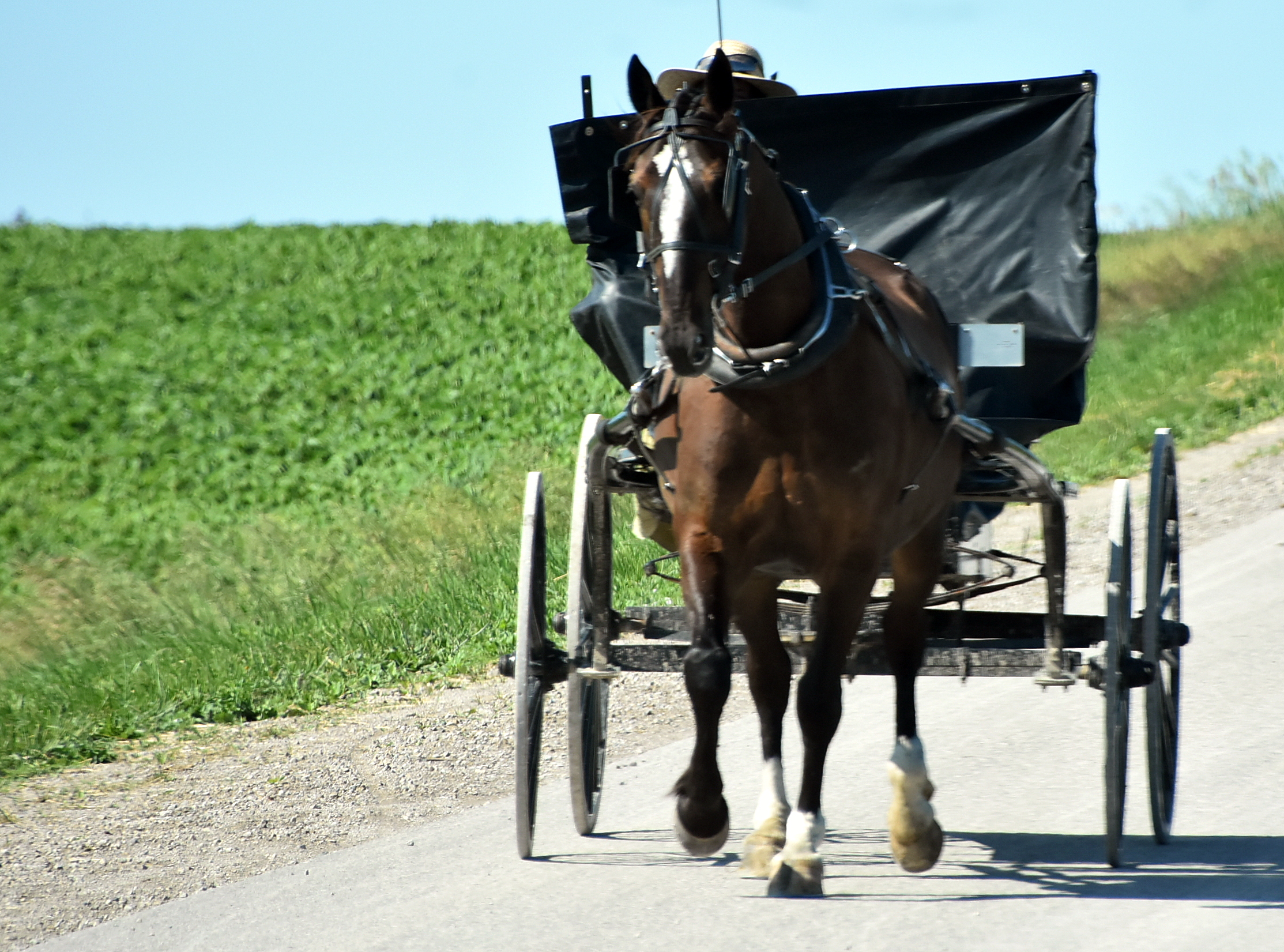 TRAVEL WITH THE BAYFIELD BUNCH:)): BEAUTIFUL COOL MORNING FOR A DRIVE ...