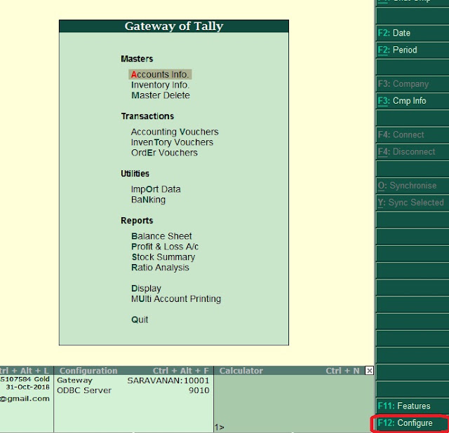 Goodwill Learning World: Free Tally TDL for Month wise item wise ...