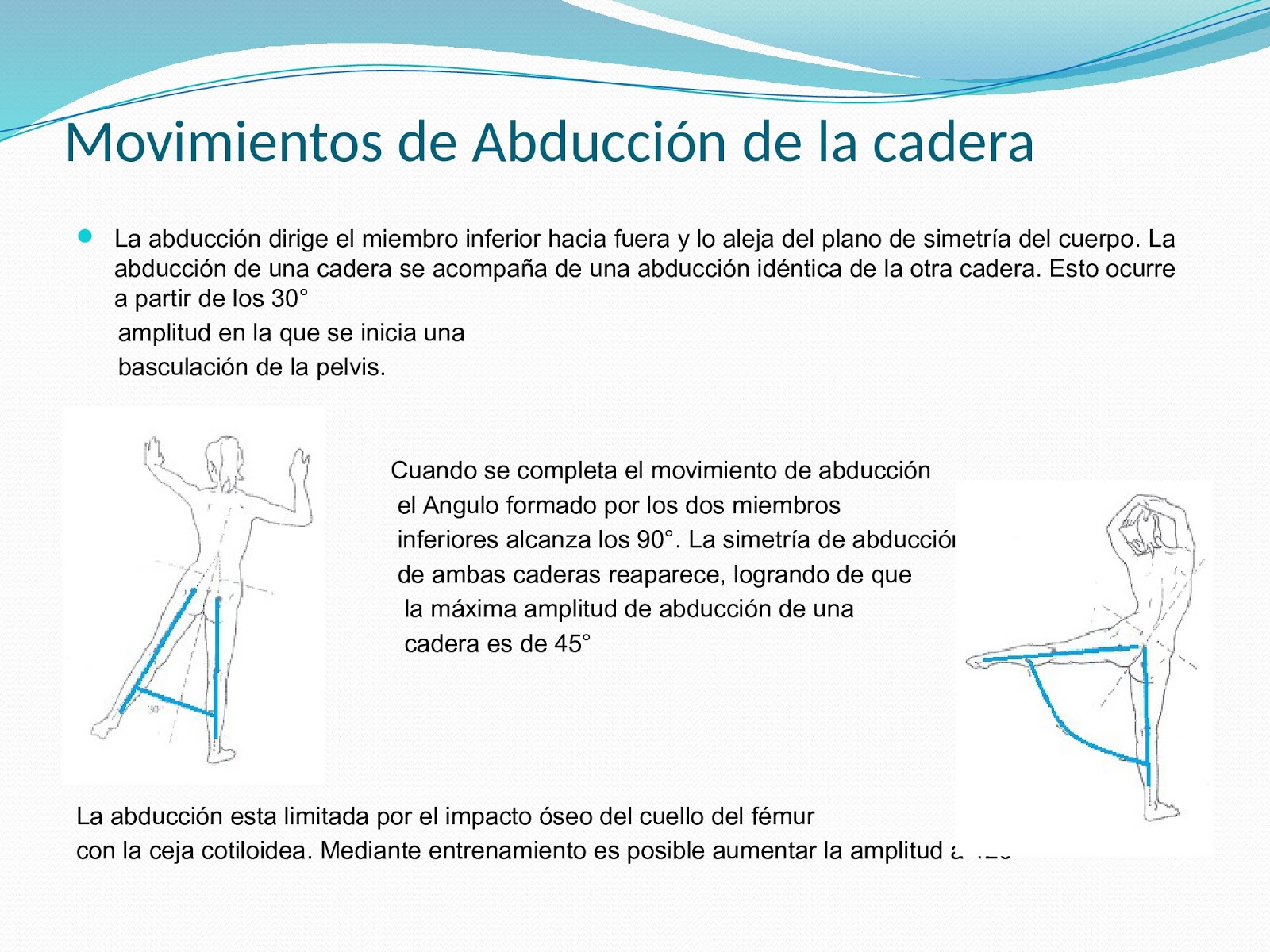 Consultorio Privado de Kinesiología y Fisioterapia: Biomecánica de la ...