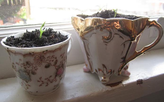 Dirty Tea Cups and Things...