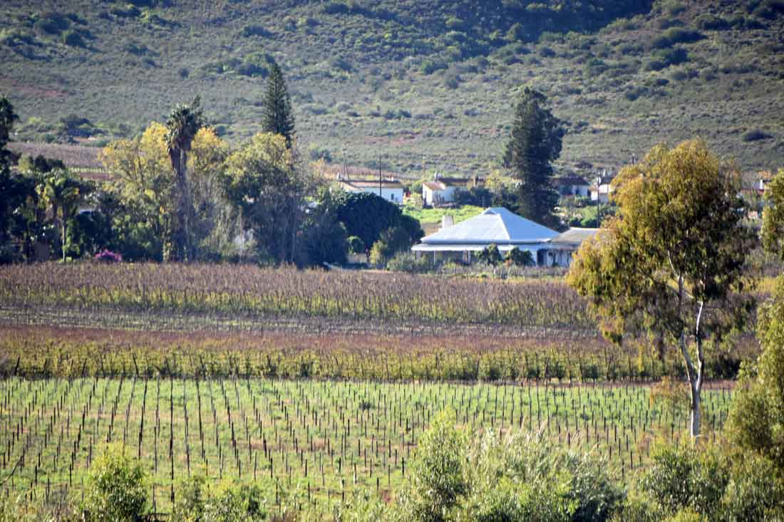 .: Robertson Wine Valley's Wacky Wine Weekend 10. Arendsig