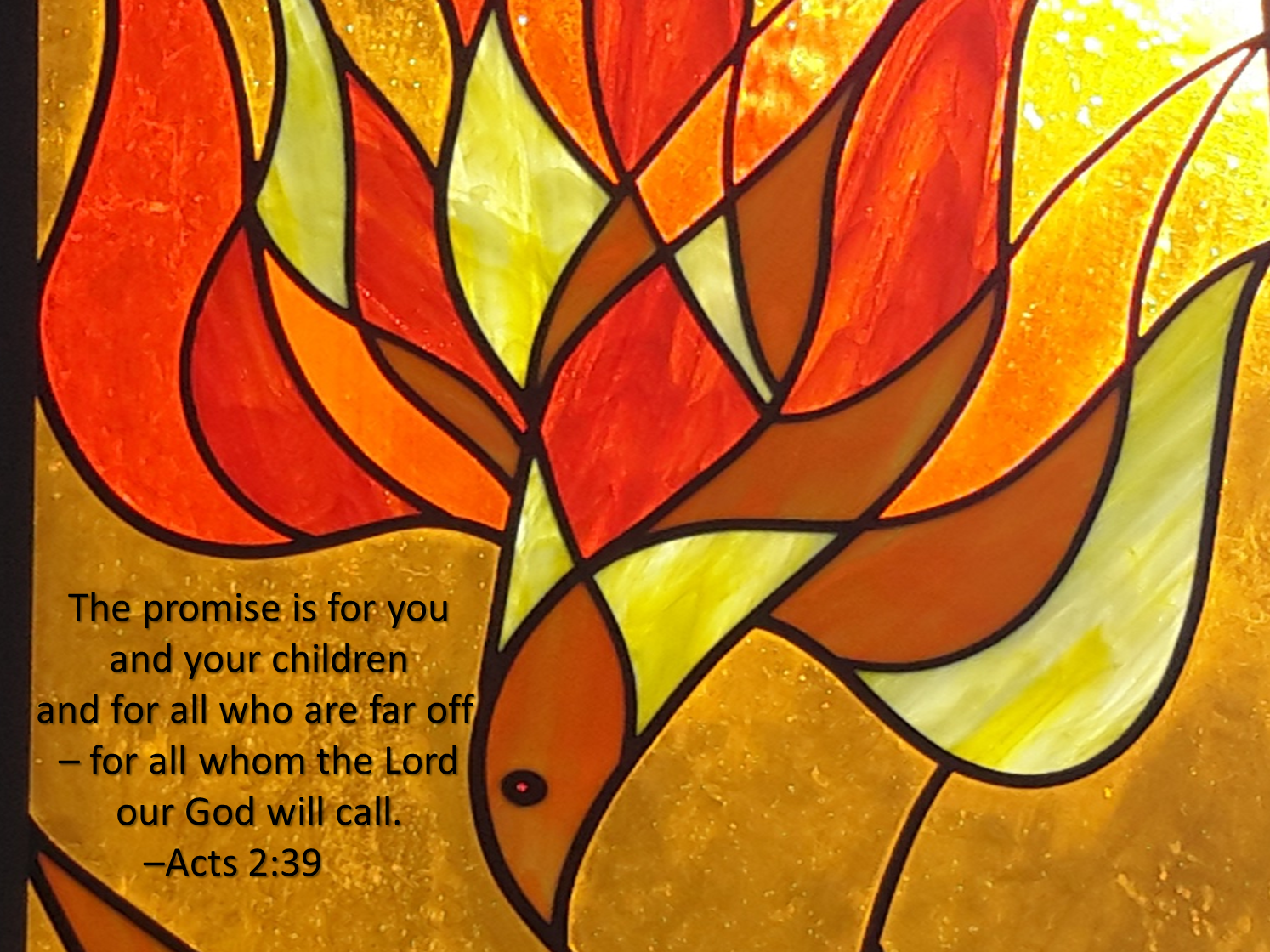 HOW IN THE WORLD!!: Empowered by being filled with the Holy Spirit ...