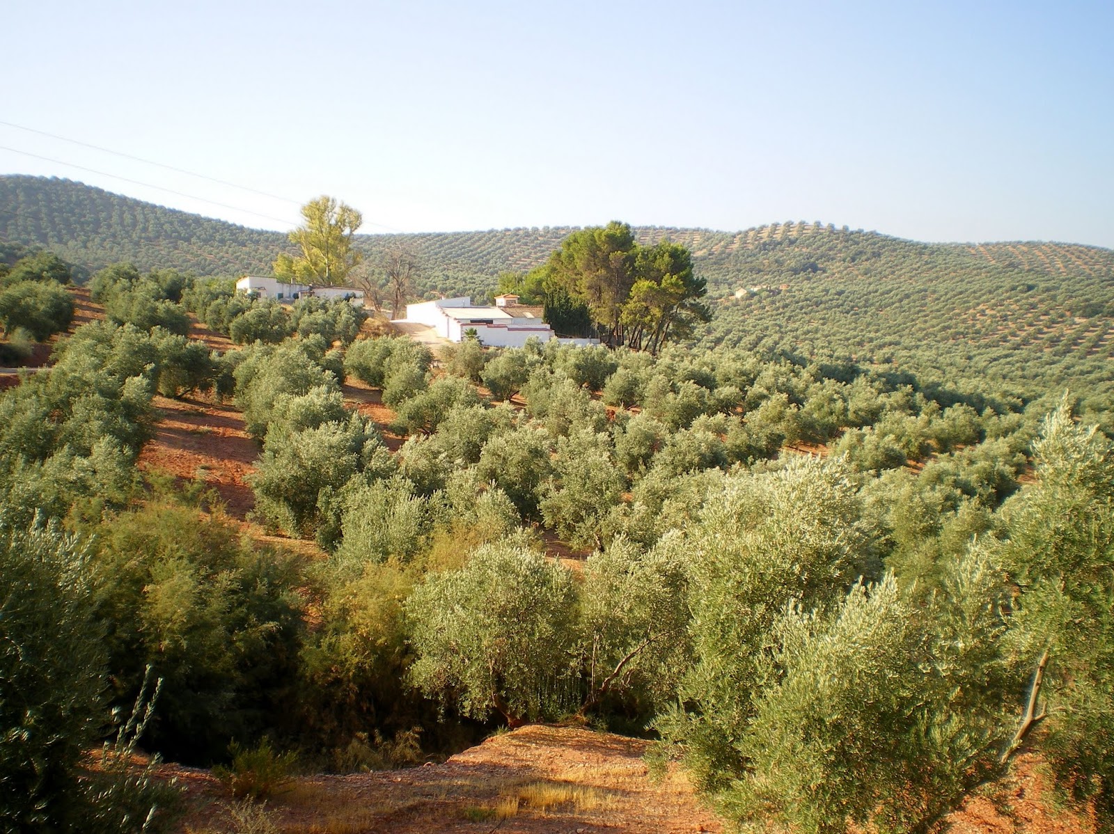 Club de Senderismo Los Escuderos de Rus (Jaen): HIPOGEOS VISIGÓTICOS DE RUS