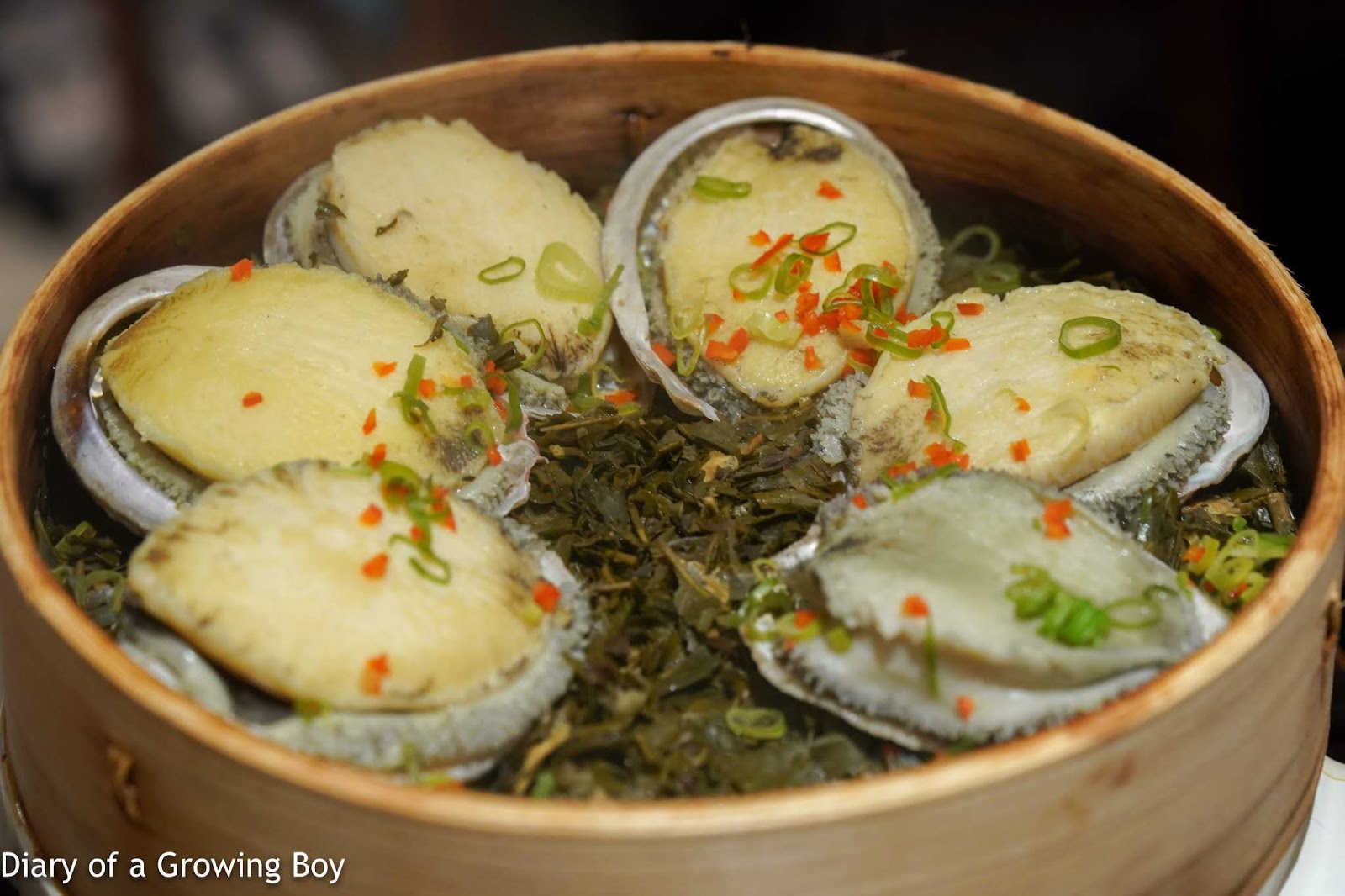 吃喝玩樂 - Diary of a Growing Boy: Abalone feast