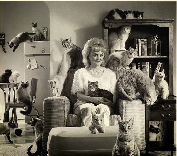 Cat Lady Hollywood at Joyce Priddy blog