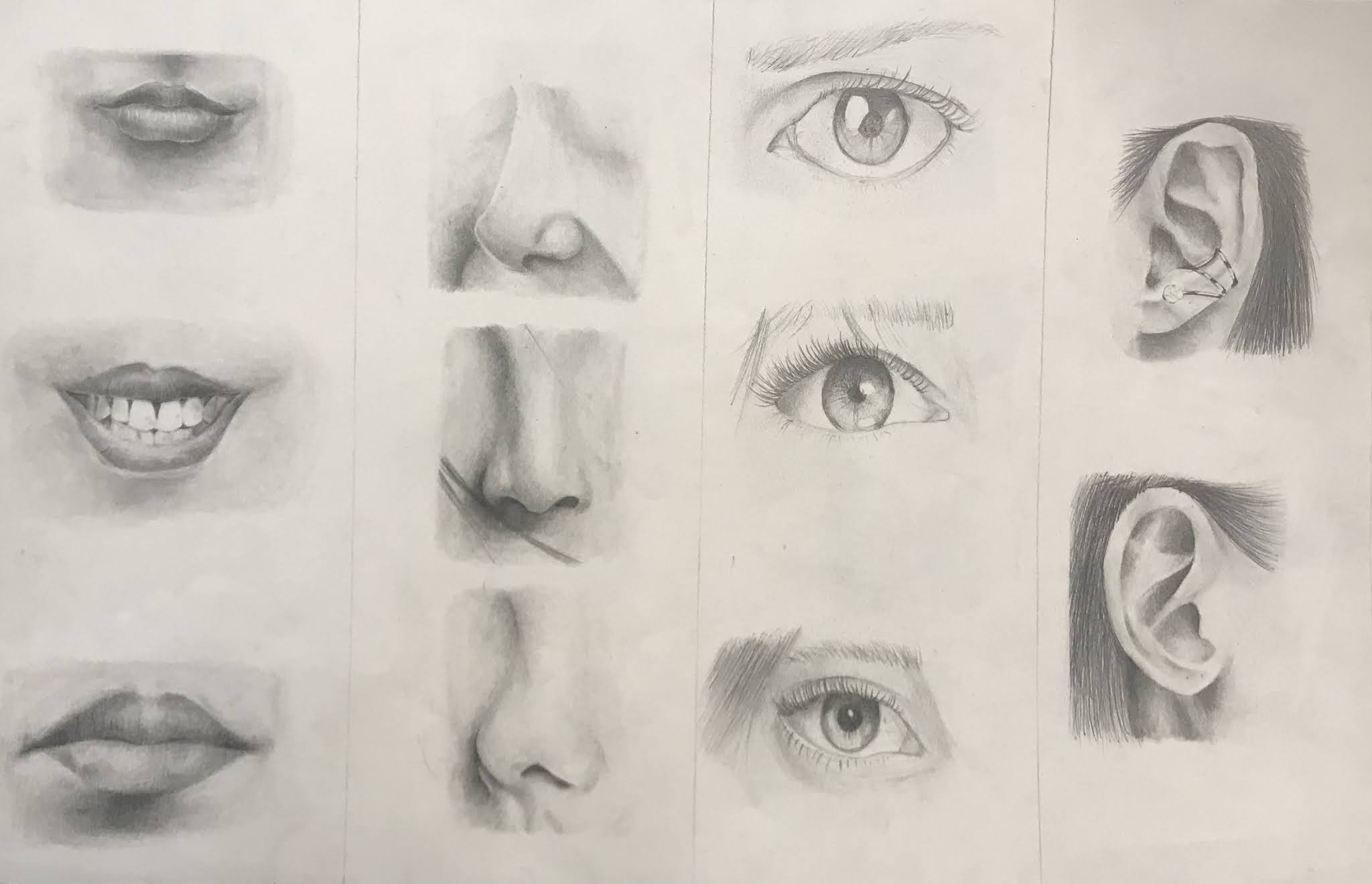 Art 1- Facial Features