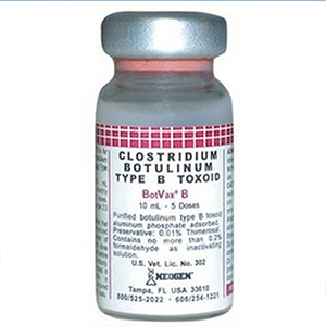 Dr. Jess : Tis the Season...for Equine Botulism