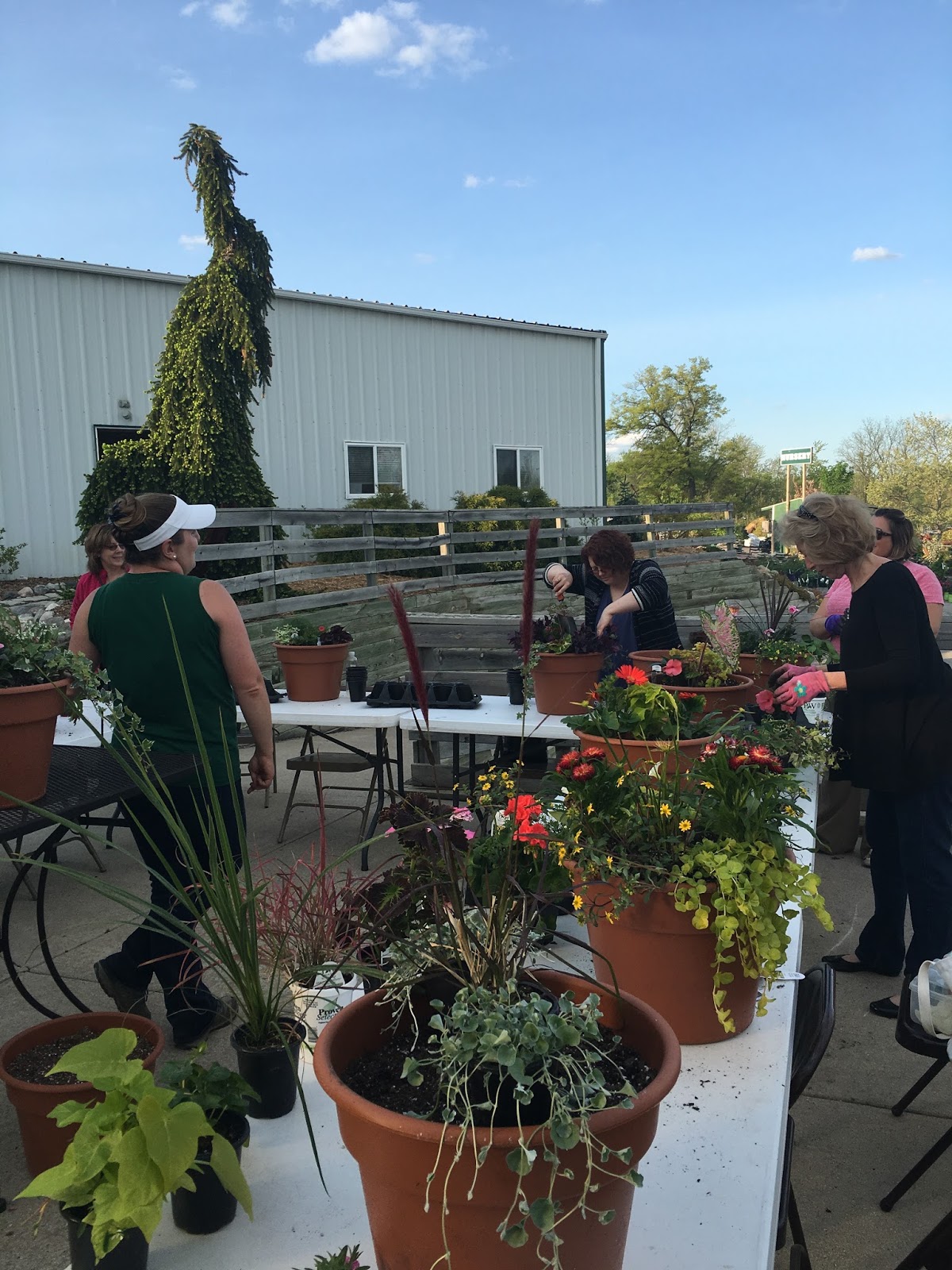 Make My Day Camp: Pillar, Filler, Spiller - Design a Spring Combo Pot