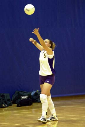 Volleyball Techniques: Serve the ball | Volleyball Techniques