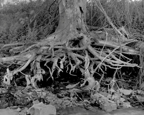 the Q at Parkside: Bob Marvin's Photos At Tugboat