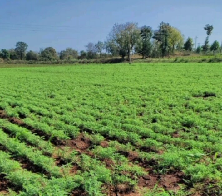 MODULE:3 ORGANIC FARMING AND WASTE MANAGEMENT AND MODULE:4 WATER ...