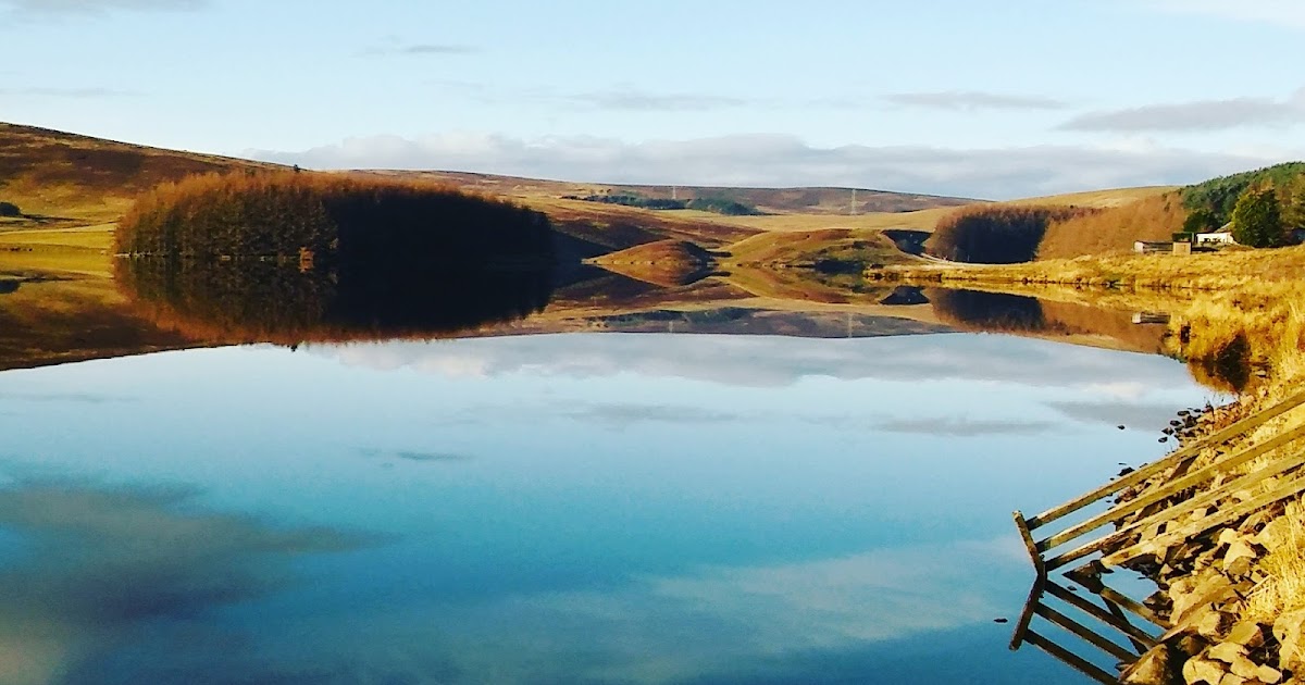 My Secret Goldfish: Whiteadder Reservoir, East Lothian