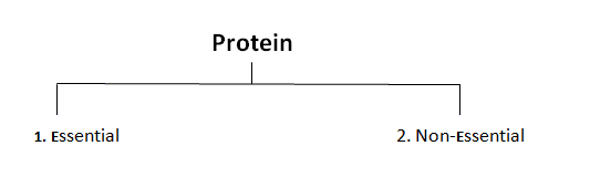Chemical Composition of Cell And Importance